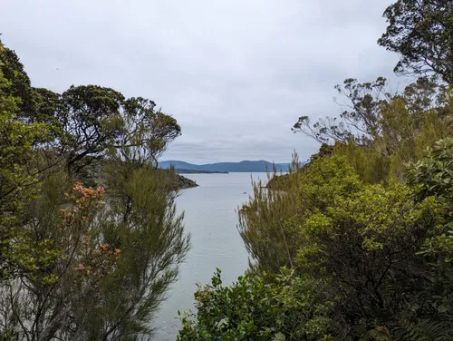 10 Best Trails and Hikes in Stewart Island | AllTrails