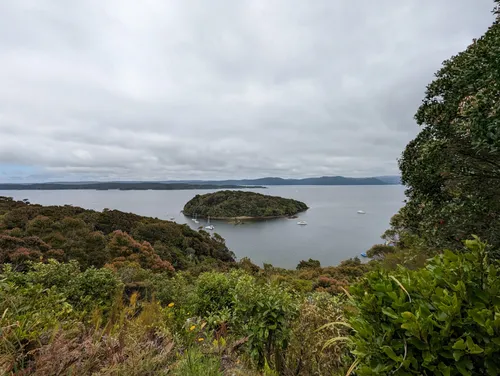 10 Best Trails and Hikes in Stewart Island | AllTrails