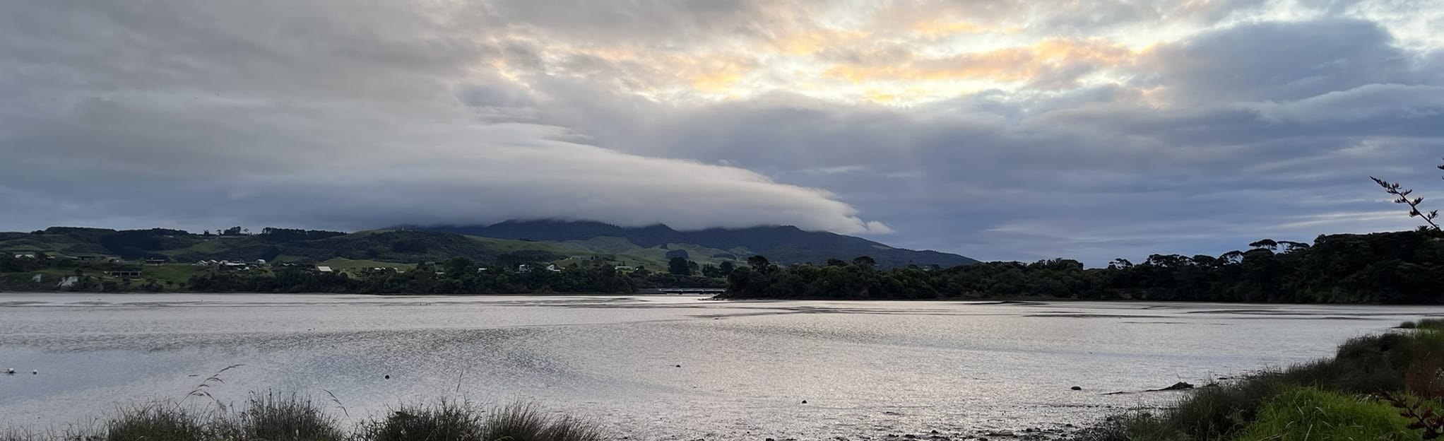 Kaitoke Walkway, Waikato, New Zealand - 11 Reviews, Map | AllTrails