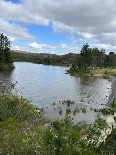 Best 10 Hikes and Trails in Creswick State Forest | AllTrails