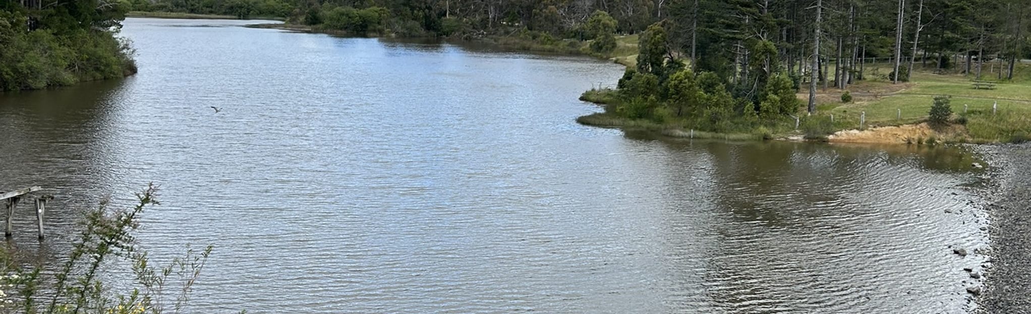 Creswick Circuit Walk, 205 Fotos - Victoria, Australia | AllTrails