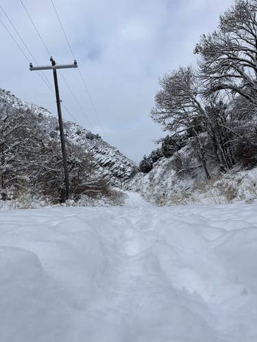 Best Hikes and Trails in Lynn and Merle Olsen Park | AllTrails