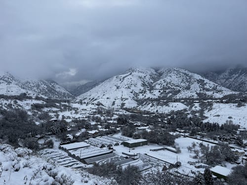 Best Hikes and Trails in Lynn and Merle Olsen Park | AllTrails