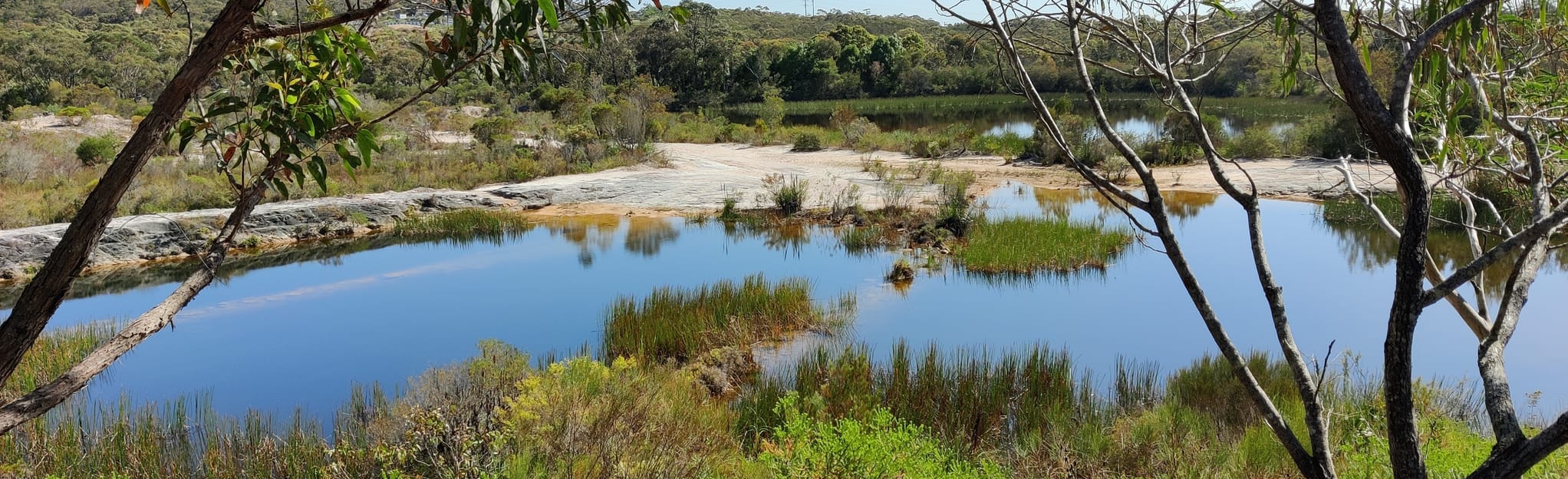 Woy Woy Waterfall Pool via Tunnel Trail: 161 Reviews, Map - New South ...