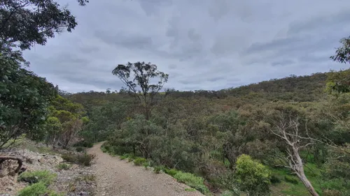 Best Hikes and Trails in Long Forest Flora and Fauna Reserve | AllTrails
