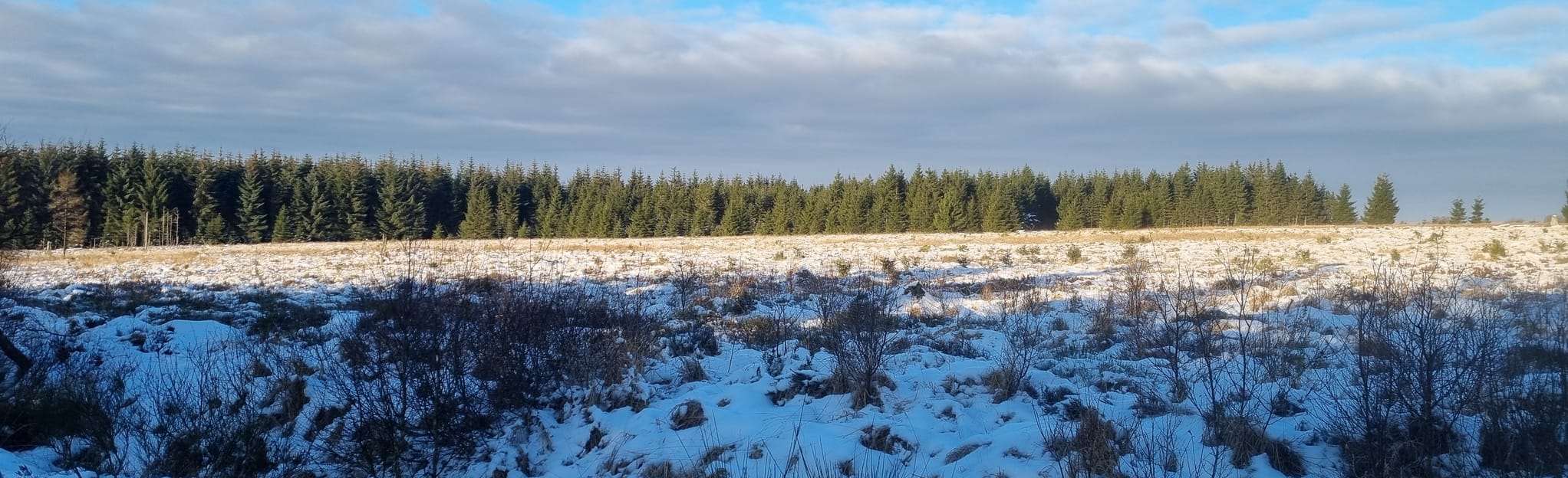 AllTrails | La Fagne de la Poleûr depuis Baraque-Michel: 37 Reviews ...