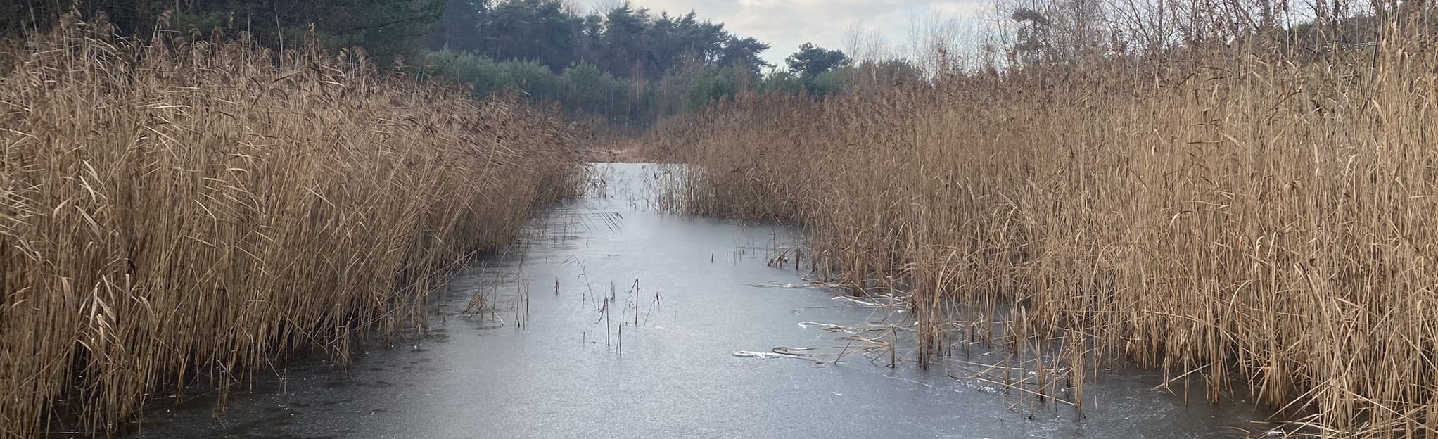 Zanderij Maarn, Utrecht, Netherlands - 13 Reviews, Map | AllTrails