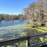 Greenfield Lake Park Trail, North Carolina - 578 Reviews, Map | AllTrails