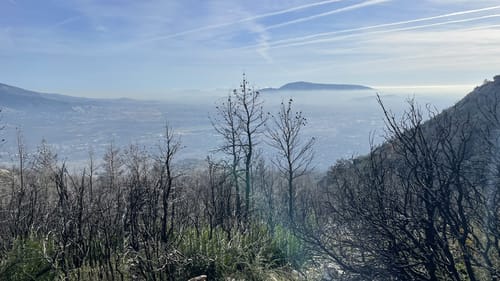 Best 10 Hikes and Trails in Mount Parnitha National Park | AllTrails