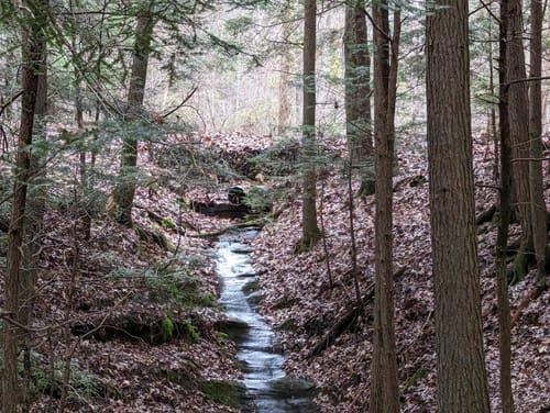 2023 Best Forest Trails in Hocking State Forest | AllTrails