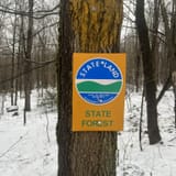 Rock City and McCarthy Hill Loop, New York - 36 Reviews, Map | AllTrails