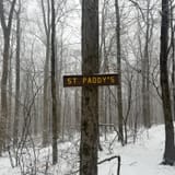 Rock City and McCarthy Hill Loop, New York - 36 Reviews, Map | AllTrails