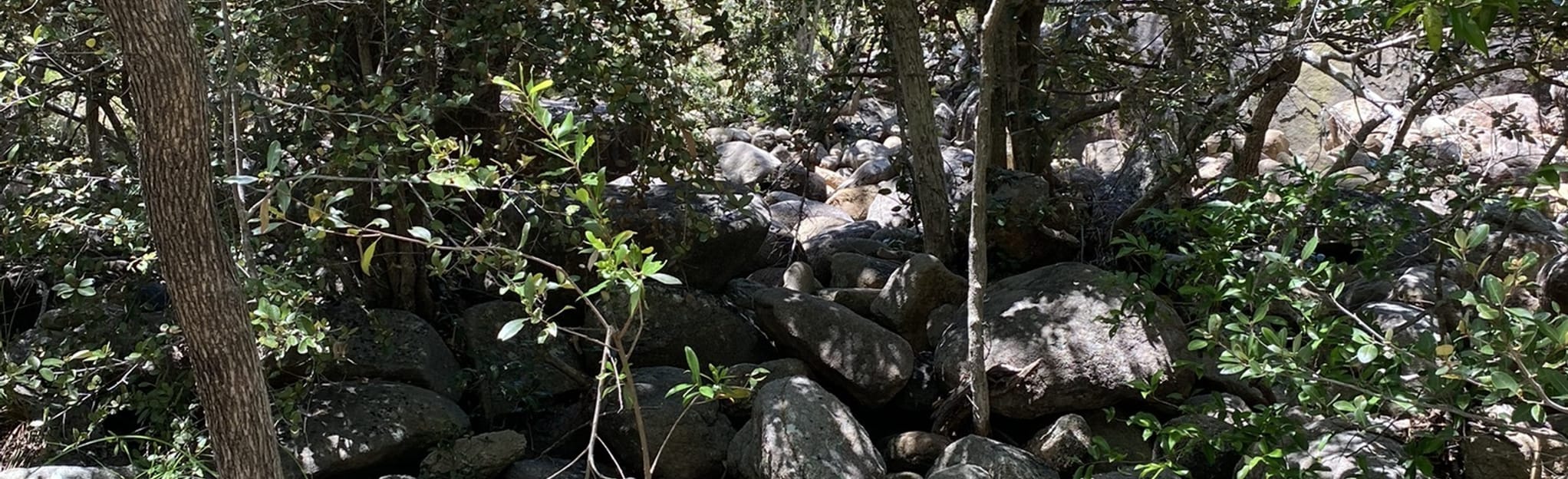 Bruce Highway Pit Stop: 4 Reviews, Map - Queensland, Australia | AllTrails