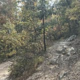 Peter's Mill Run OHV Trail, Virginia - 361 Reviews, Map | AllTrails