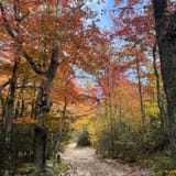 Peter's Mill Run OHV Trail, Virginia - 361 Reviews, Map | AllTrails