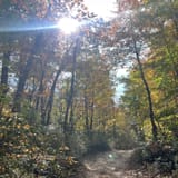 Peter's Mill Run OHV Trail, Virginia - 361 Reviews, Map | AllTrails