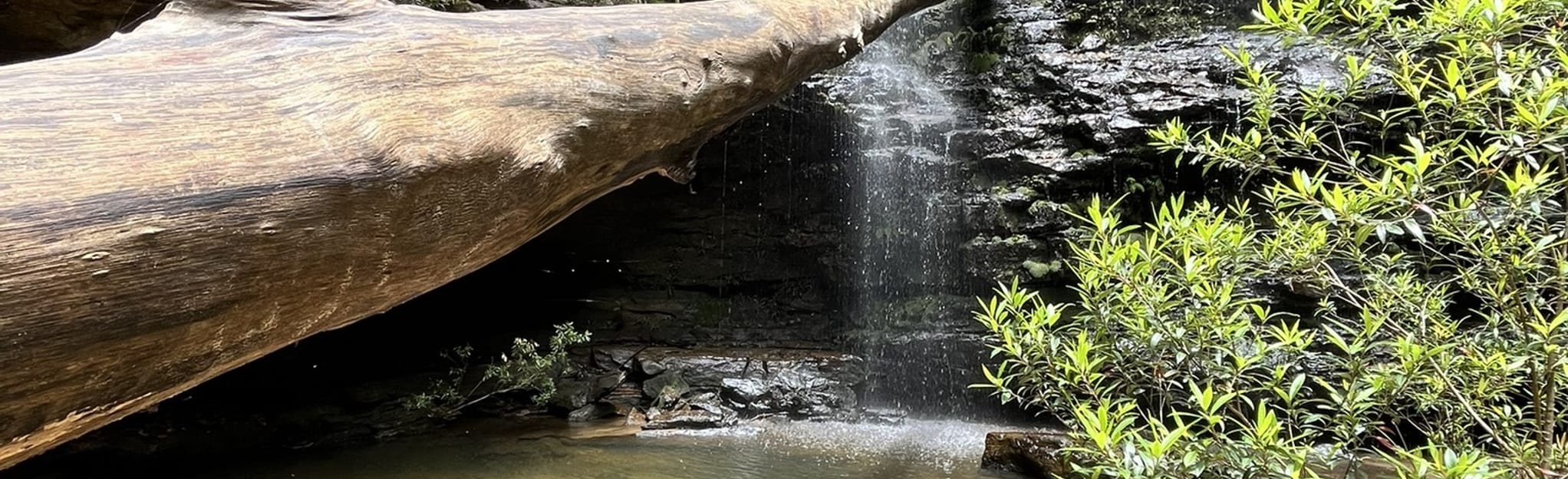 Lawson to Hazelbrook via 6 Waterfalls, New South Wales, Australia - 44 ... Lawson to Hazelbrook via 6 Waterfalls, New South Wales, Australia - 44 ...