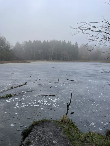 Best Hikes and Trails in Donadea Forest Park | AllTrails