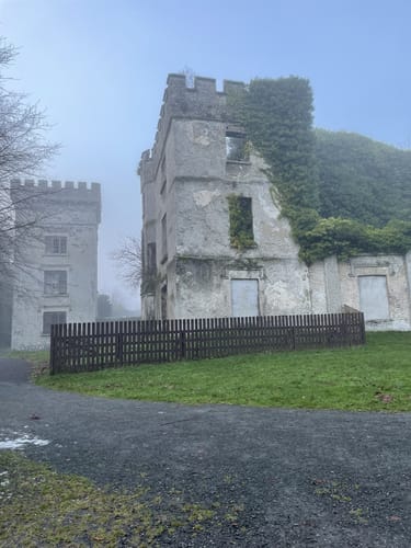 Best Hikes and Trails in Donadea Forest Park | AllTrails