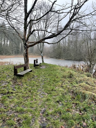 Best Hikes and Trails in Donadea Forest Park | AllTrails