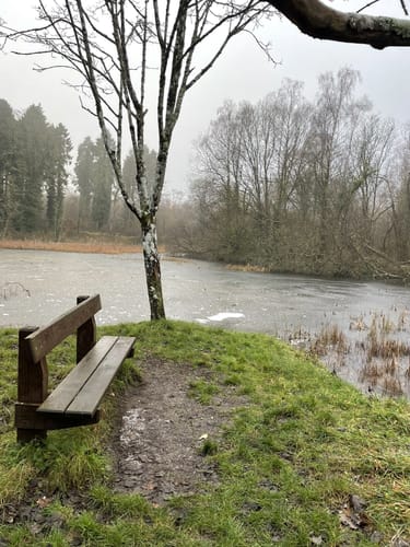 Best Hikes and Trails in Donadea Forest Park | AllTrails