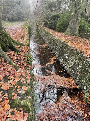 Best Hikes and Trails in Donadea Forest Park | AllTrails