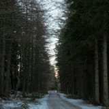 Scolty Hill, Aberdeenshire, Scotland - 102 Reviews, Map | AllTrails
