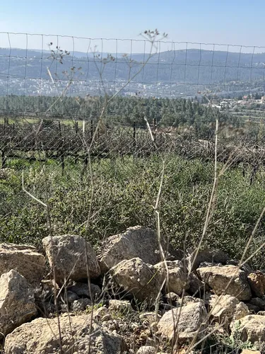 2023 Best Trails, Walks, and Paths in Har Adar | AllTrails