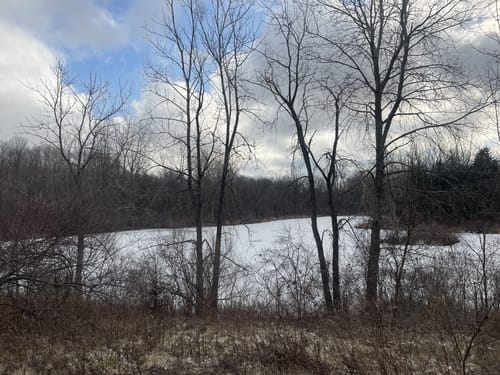 Best Hikes and Trails in Coldstream Conservation Area | AllTrails