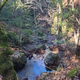 Murietta Falls Trail, California - 681 Reviews, Map | AllTrails