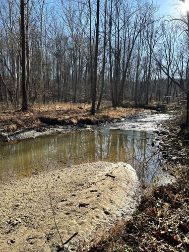 Best Hikes and Trails in Cabin John Regional Park | AllTrails