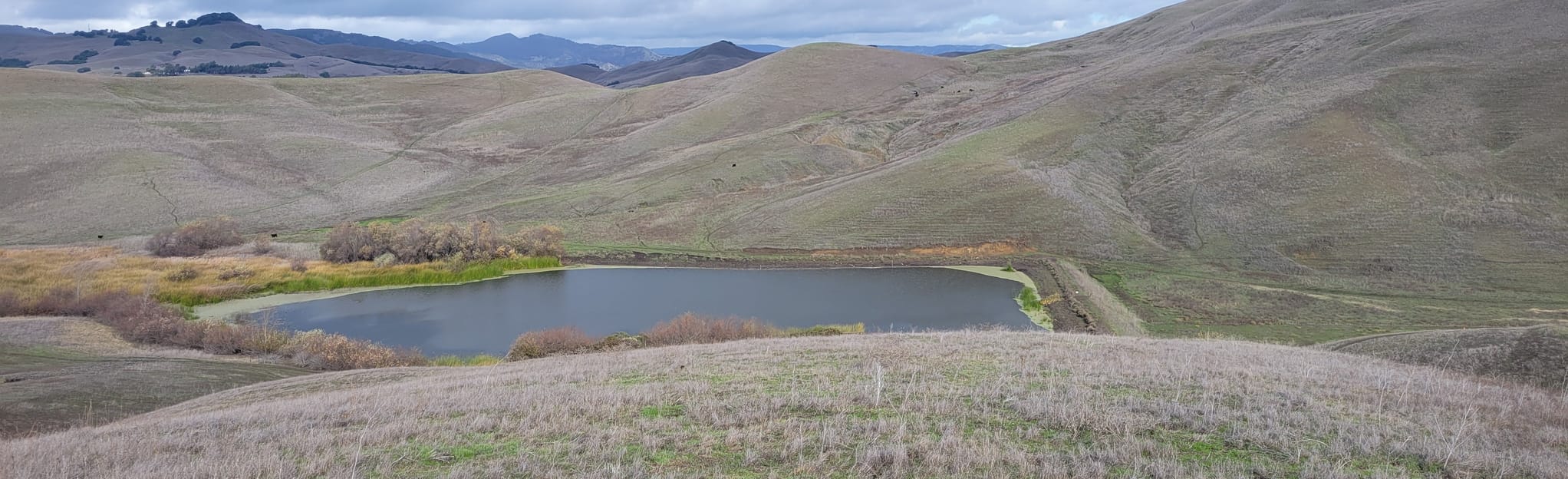 Lynch Road, Tower Trail and Middle Valley Trail Loop, California - 33 ...