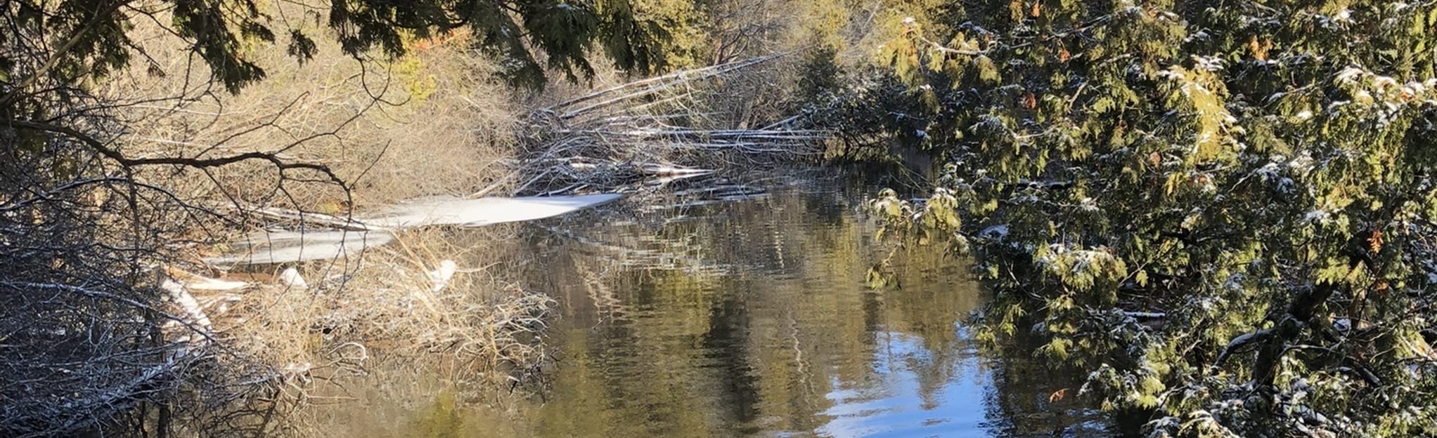 Shade's Outside Loop: 213 foto's - Ontario, Canada | AllTrails