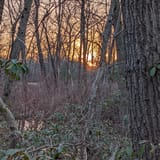Pine Swamp Loop, New York - 1,050 Reviews, Map | AllTrails