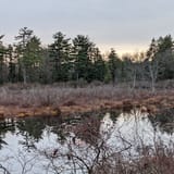 Pine Swamp Loop, New York - 1,050 Reviews, Map | AllTrails