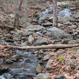 Pine Swamp Loop, New York - 1,050 Reviews, Map | AllTrails