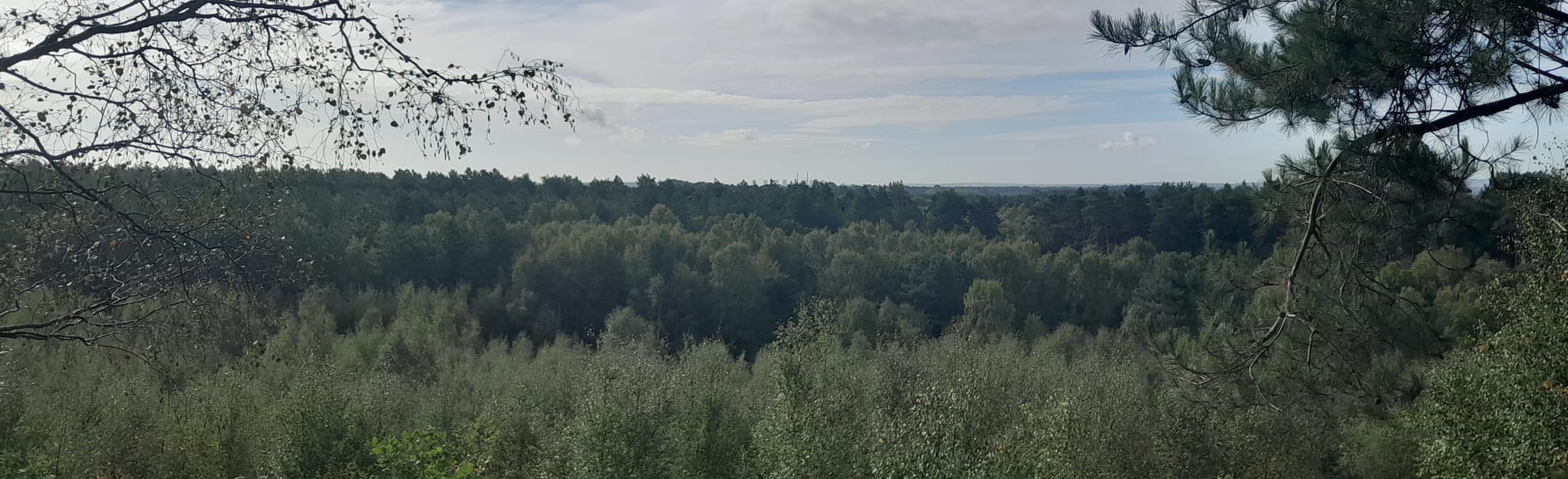 Laughton Forest Circular, Lincolnshire, England - 145 Reviews, Map ...