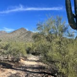 Saguaro Loop and Nature Trail, Arizona - 600 Reviews, Map | AllTrails