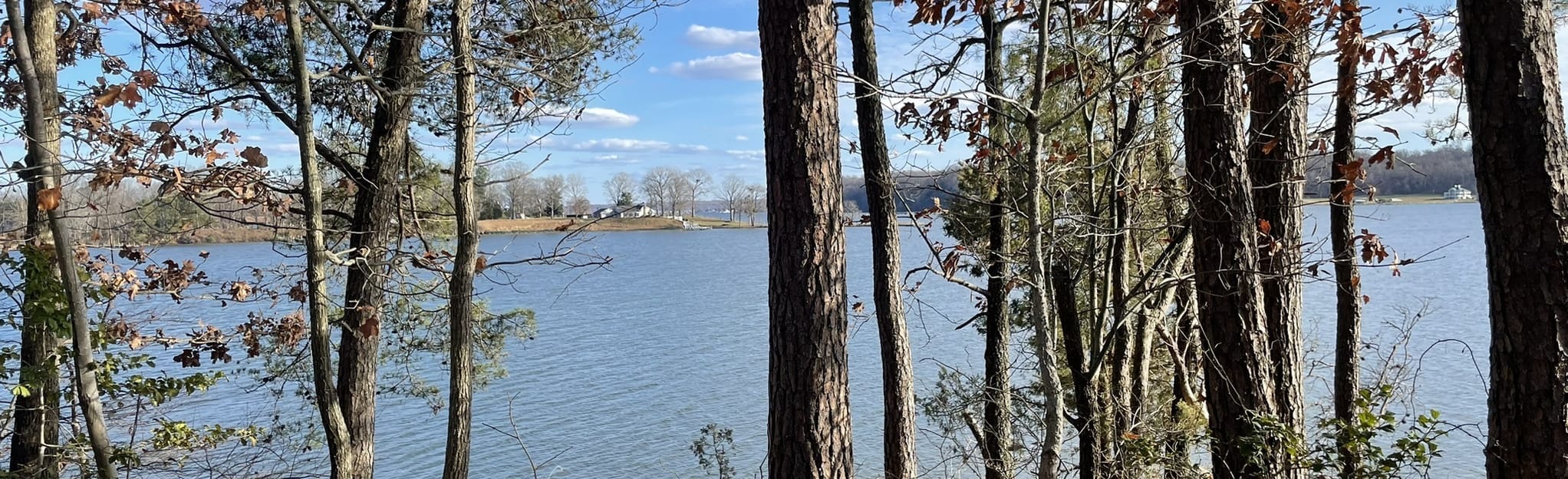 Crows Nest Point Trail, Virginia - 269 Reviews, Map | AllTrails