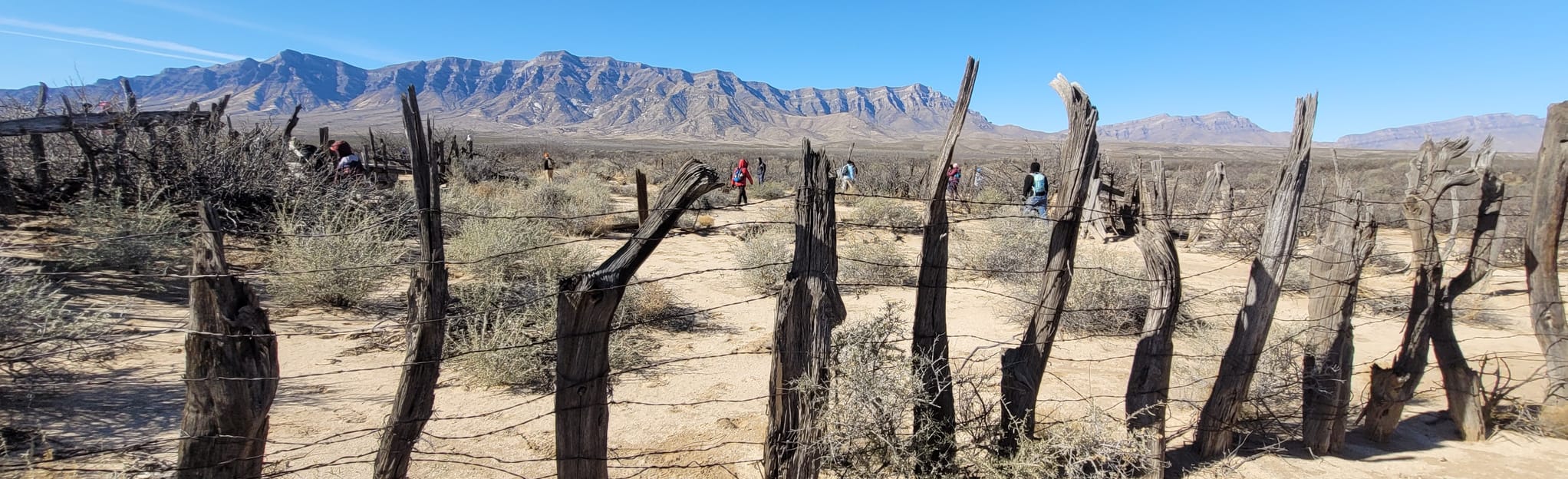 Lake Lucero Path: 6 Reviews, Map - New Mexico | AllTrails