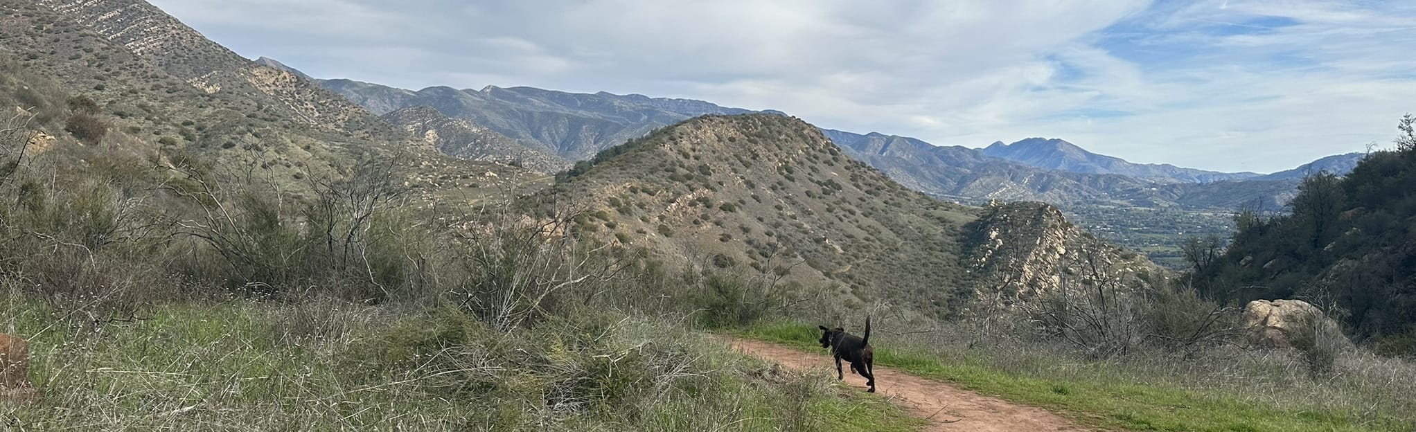 Pratt, Foothill, and Fox Canyon Trails Loop, California - 1,226 Reviews ...