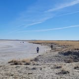 Lake Lucero Path, New Mexico - 7 Reviews, Map | AllTrails