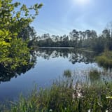 Three Lakes Loop, Florida - 265 Reviews, Map | AllTrails