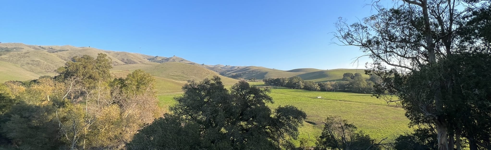 Mission Peak and Peak Meadow Loop from Ohlone College: 417 Reviews, Map ...