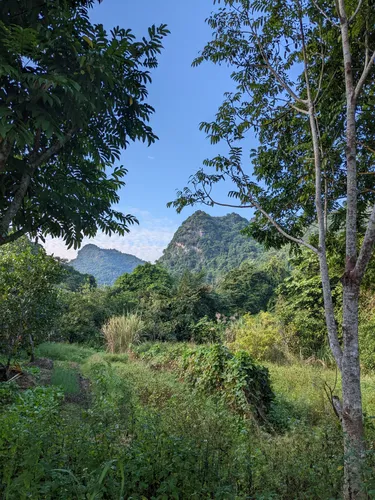 Best Hikes and Trails in Cat Ba National Park | AllTrails