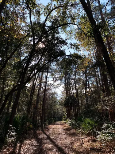 Best Hikes and Trails in Victoria Bluff Heritage Preserve | AllTrails