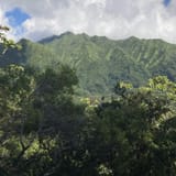 Manoa Cliff Trail, Oahu, Hawaii - 943 Reviews, Map | AllTrails
