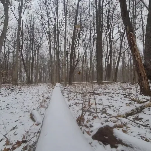 Best Hikes and Trails in Fawn River Nature Preserve | AllTrails