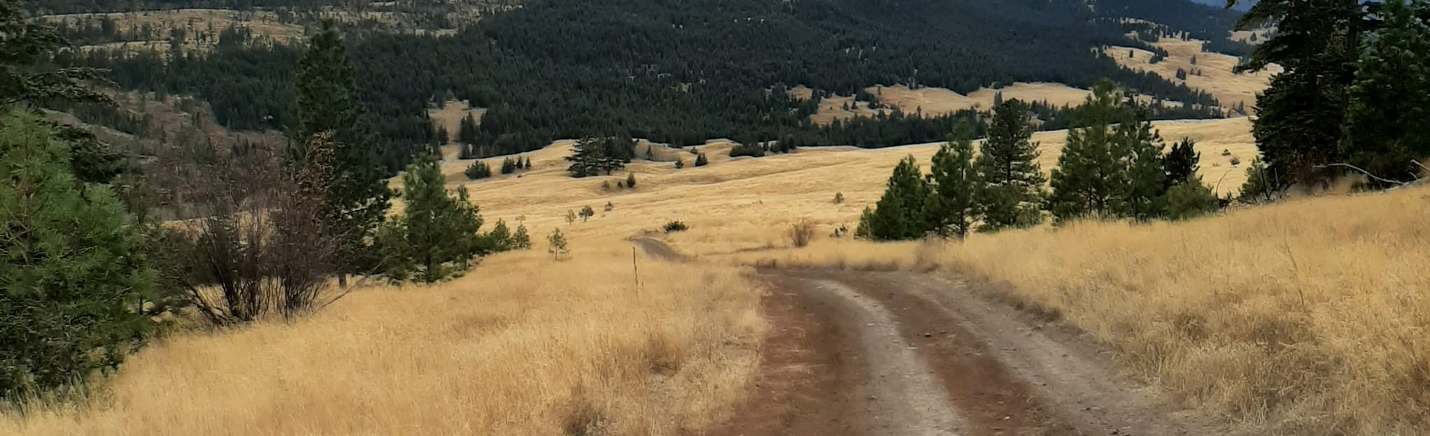 Mount Buse Trail: 51 Reviews, Map - British Columbia, Canada | AllTrails