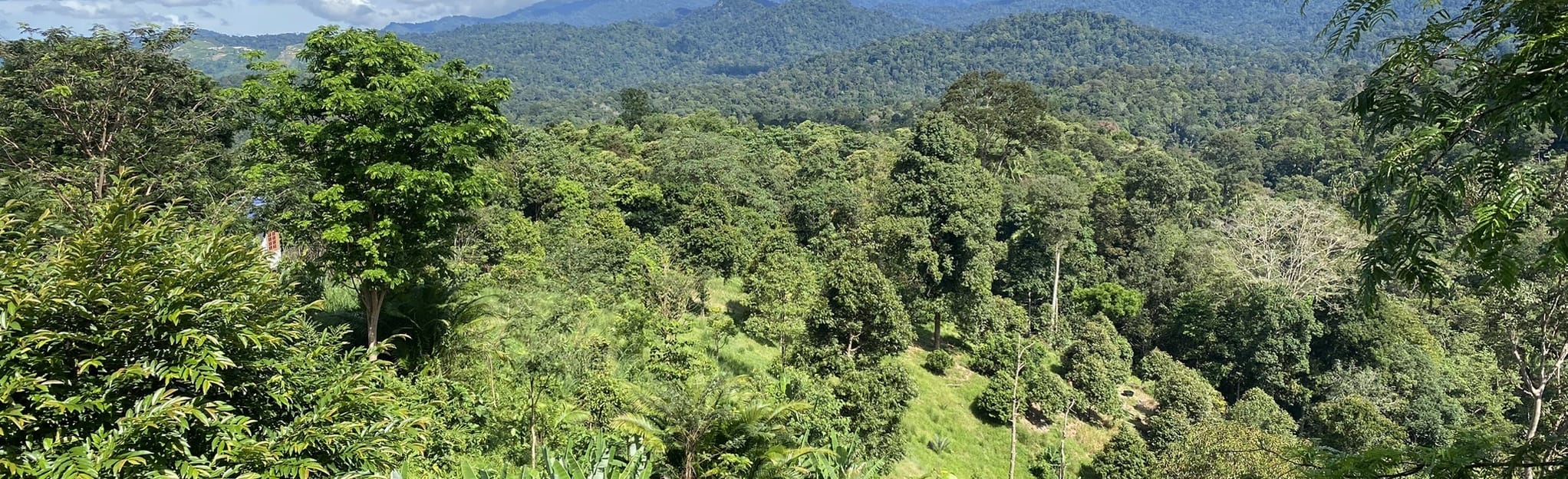 Kemensah - Bukit Pau Extended Trail: 522 Fotos - Selangor, Malaysia ...